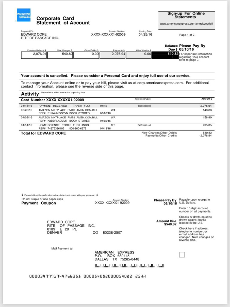 Amex Statement | PDF Amex Statement | PDF