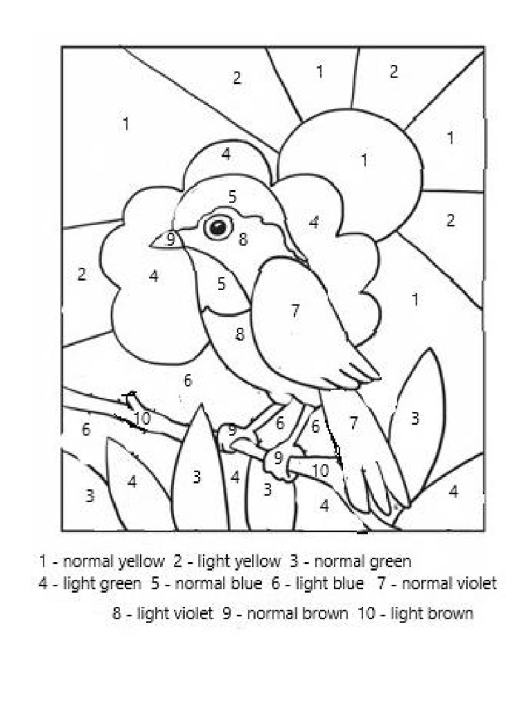 Color by Number | PDF