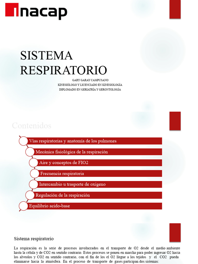 Clase 9 - Sistema Respiratorio | PDF | Sistema respiratorio | Pulmón Clase 9 - Sistema Respiratorio | PDF | Sistema respiratorio | Pulmón