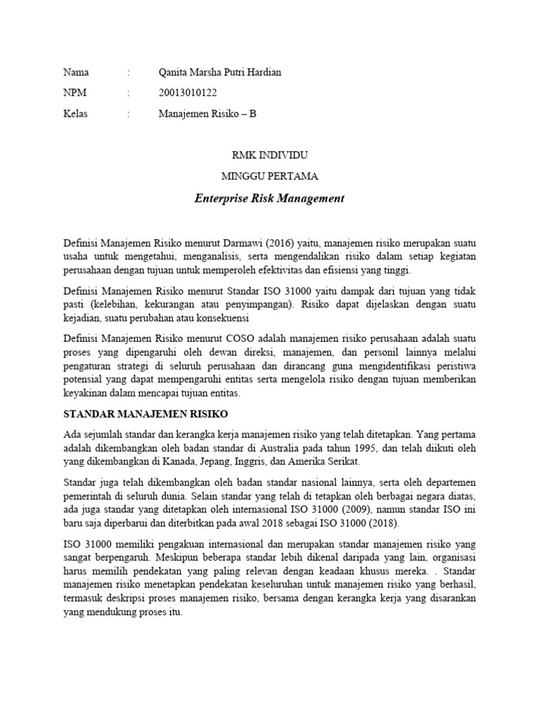 Manajemen Risiko Pdf