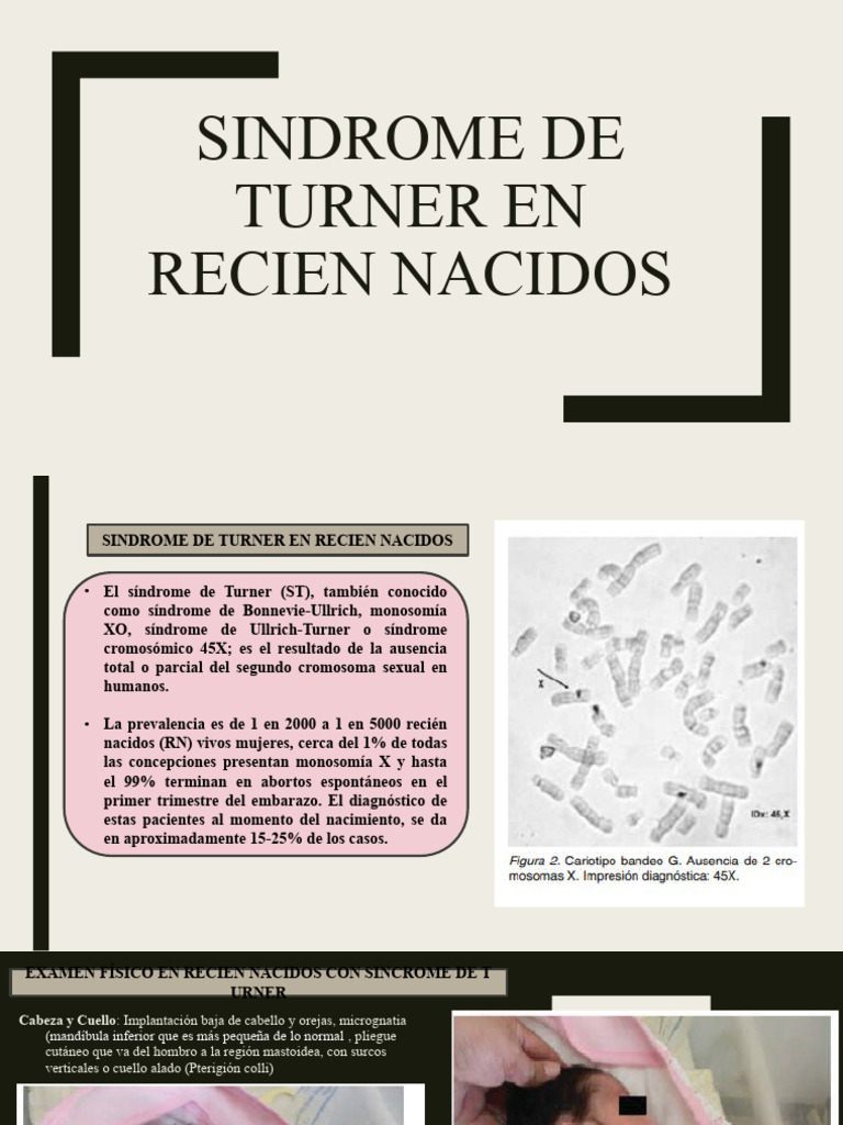 EXPO Vi | PDF | Mano | Especialidades Medicas