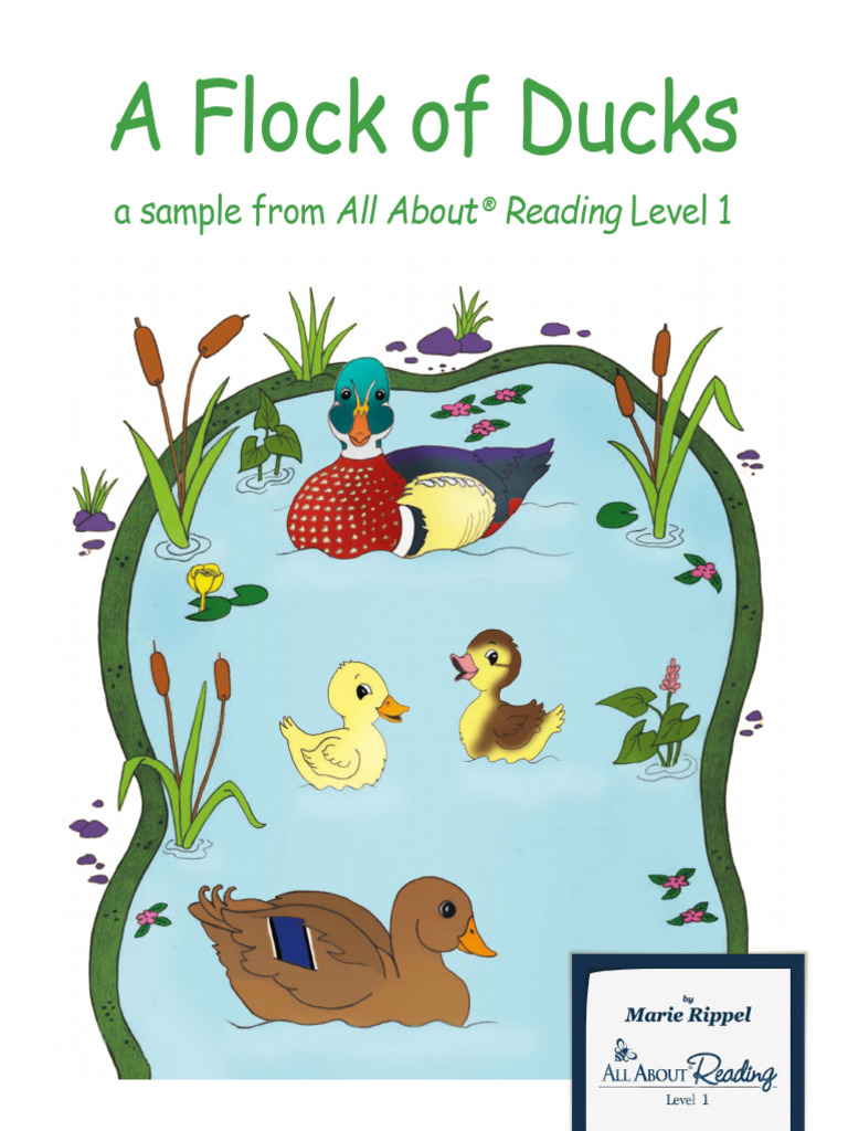AAR L1 A Flock of Ducks Color | PDF | Education Theory | Cognitive Science