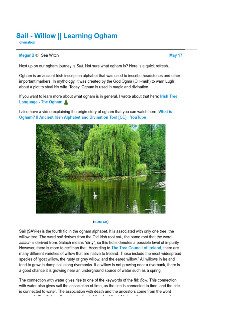 Sail - Willow Learning Ogham - Witchy Wisdom - The Spells8 Forum | PDF | Willow