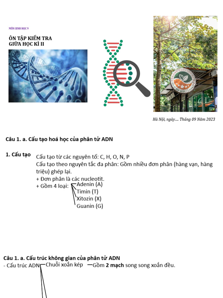 Ôn Tập Kt 45p Hki (1) -3 | PDF