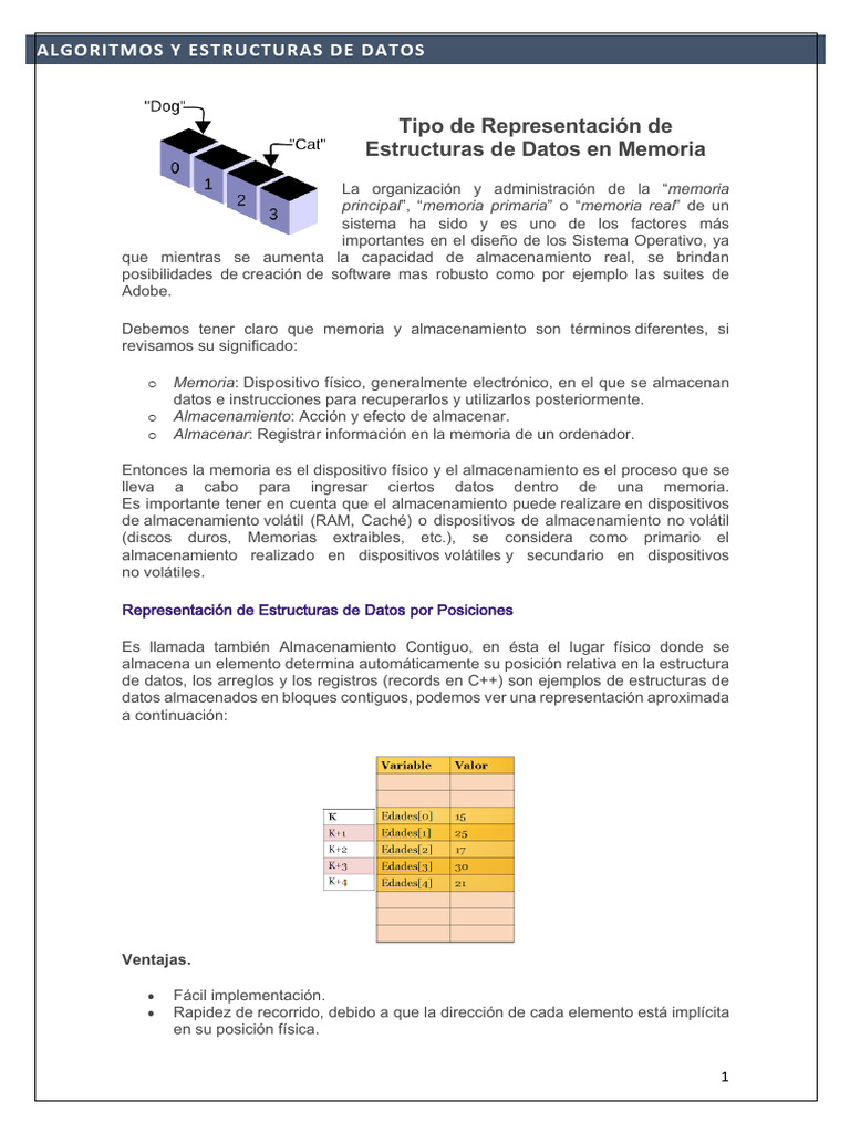Tipo de Representación de Estructuras de Datos en Memoria | PDF ...