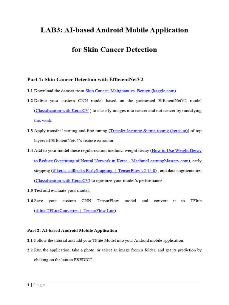 Lab Skin Cancer Detection | PDF