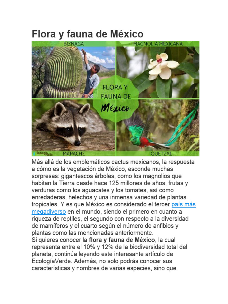Flora y Fauna en Mexico | PDF | Fauna | Selva