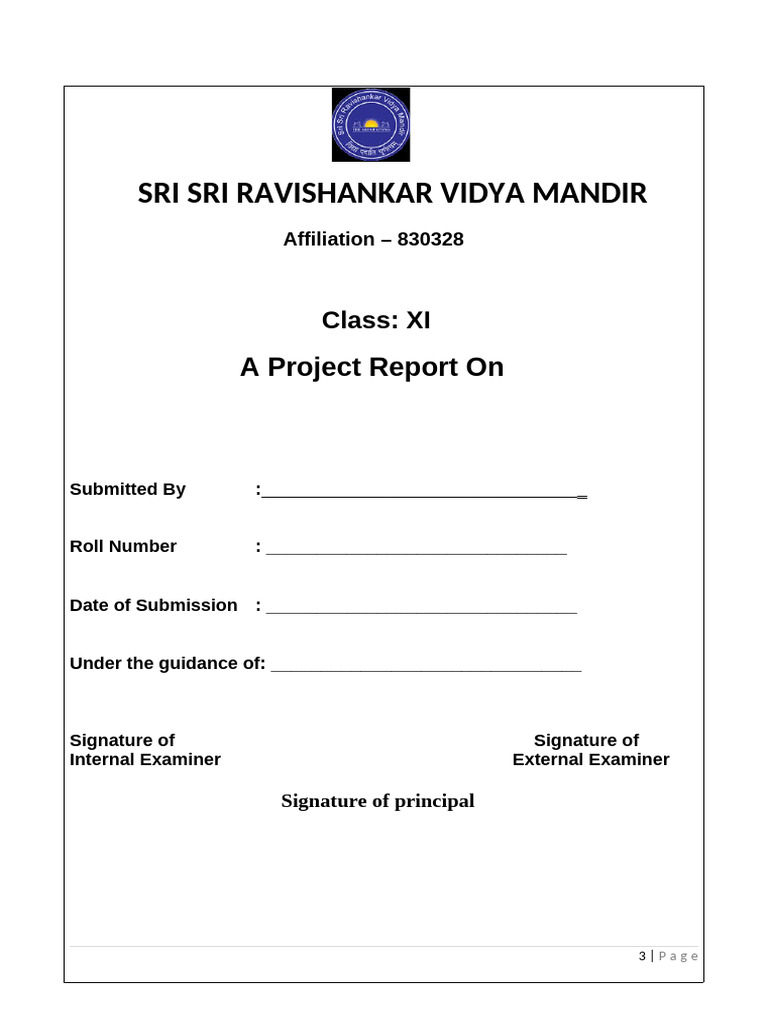Cs Project Report Pdf 