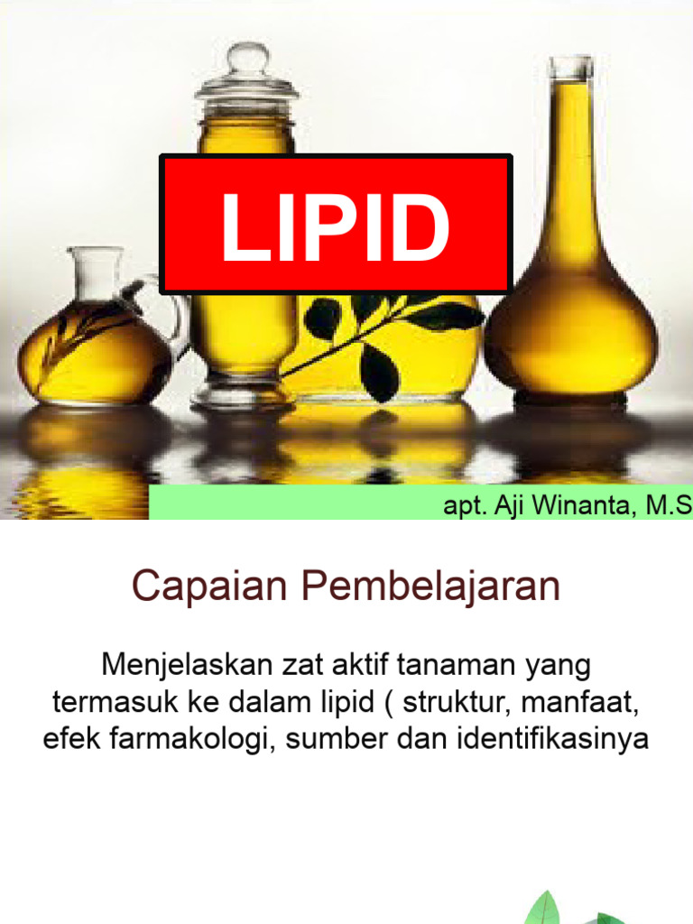 Pemahaman Lipid: Struktur dan Fungsi | PDF
