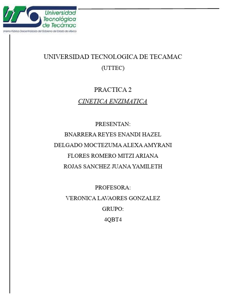 Practica 2 Tec Enzi | PDF