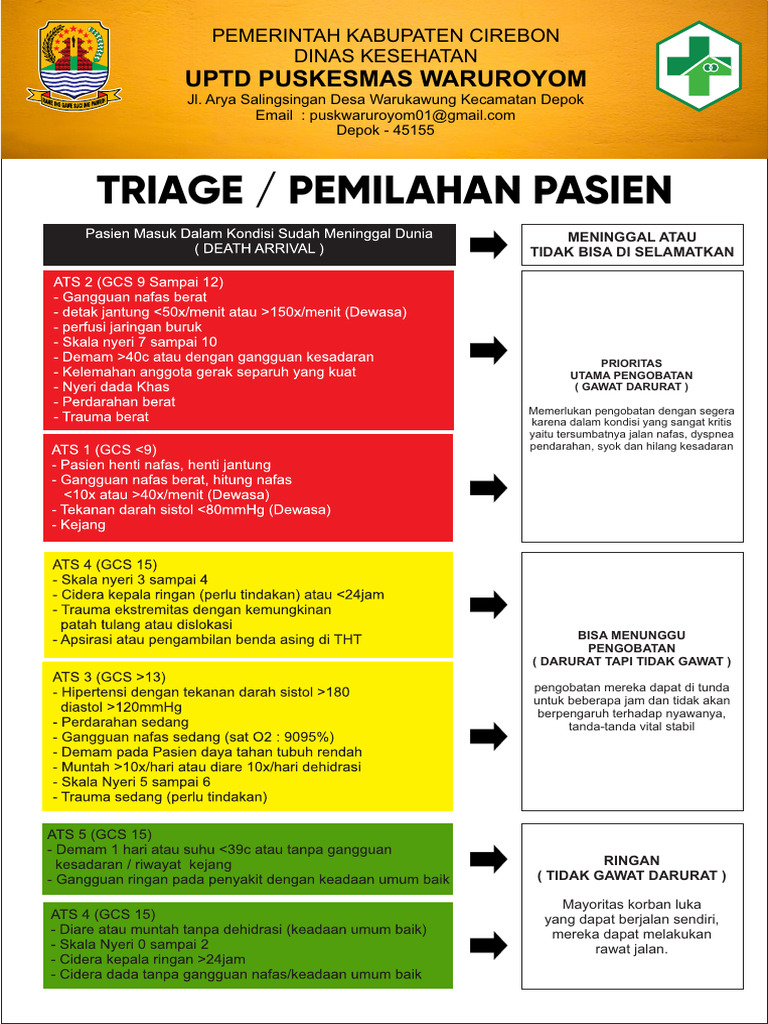 Panduan Triage Pasien Puskesmas | PDF