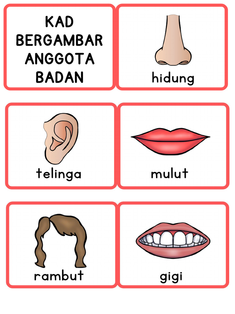 Kad Bergambar Anggota Badan | PDF