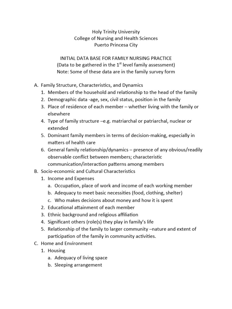 Initial Data Base For First Level Family Assessment 1 | PDF