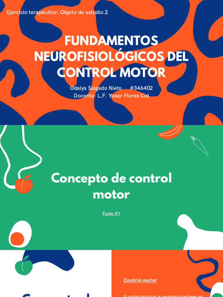 Neurofisiología del Control Motor | PDF | Cerebelo | Neurona