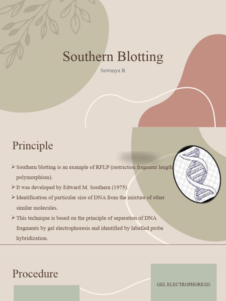 Southern Blotting Technique Guide | PDF