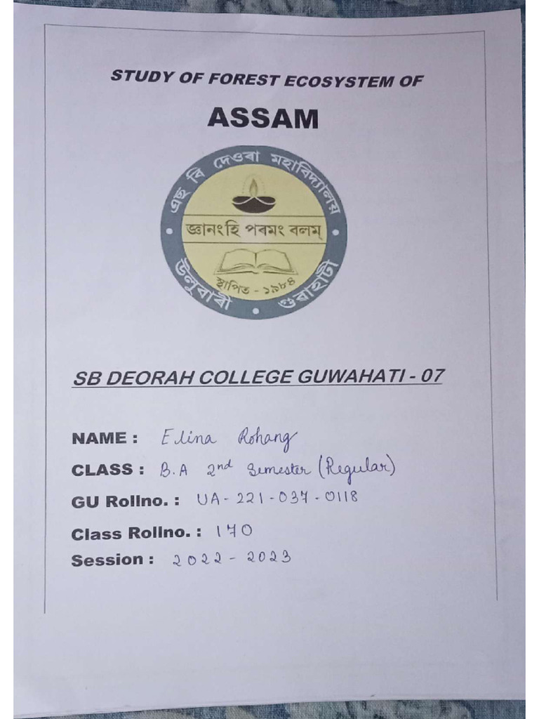 EVS Project Compressed | PDF