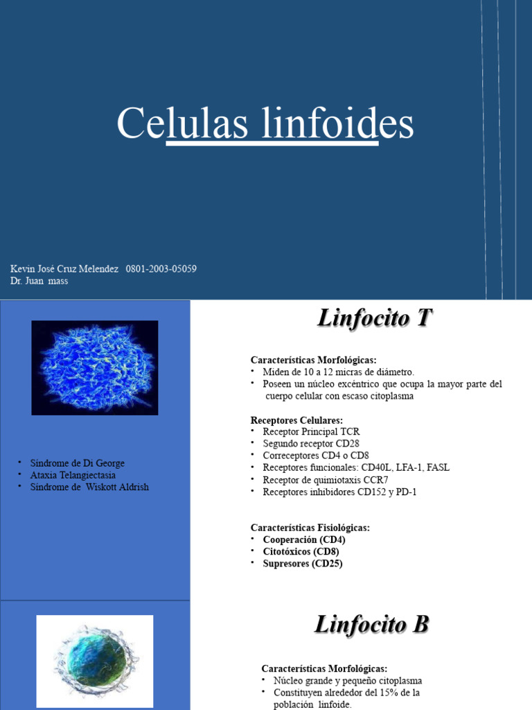 Celulas Linfoides | PDF