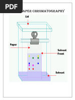 Paper Chromatography Diagram Explained | PDF