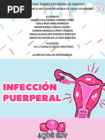 Maniobra de Ritgen | PDF | Parto | Reproducción