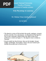 Fish Digestive System: Anatomy & Functions | PDF | Mouth | Tooth