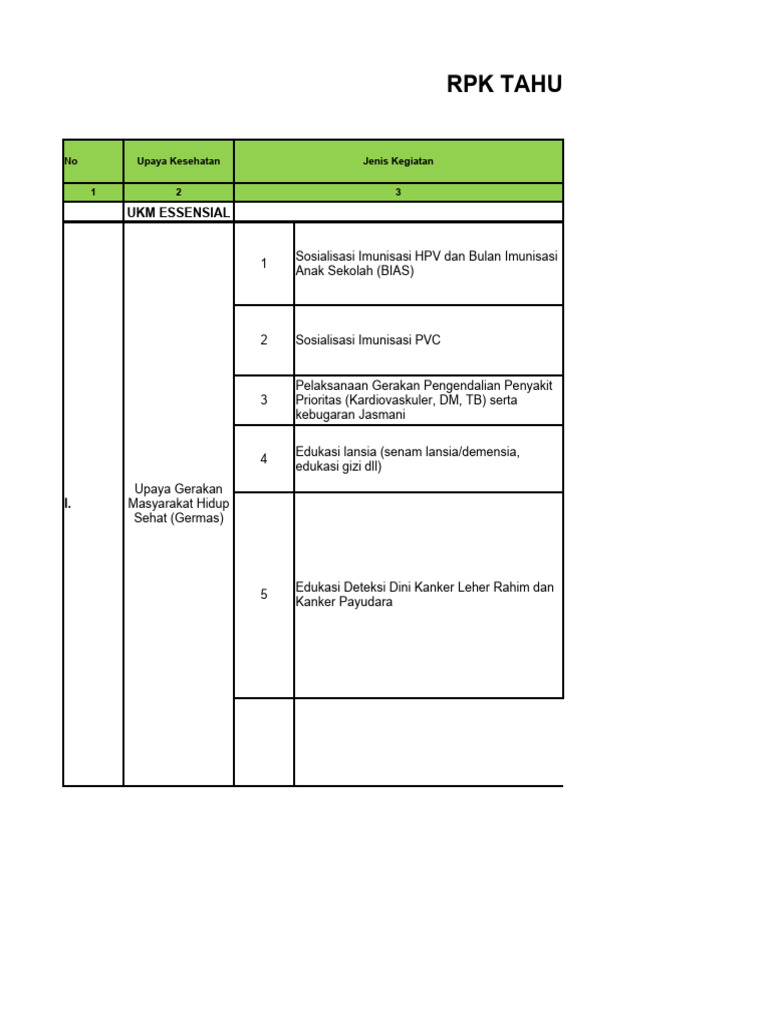 RPK 2023 Ruk 2024 Promkes Ok | PDF