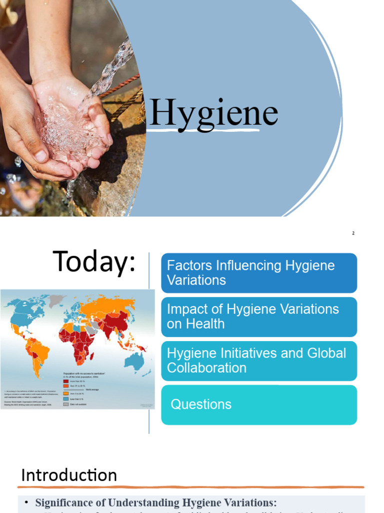 Global Hygiene Standards and Health Impact | PDF | Wash | Hygiene
