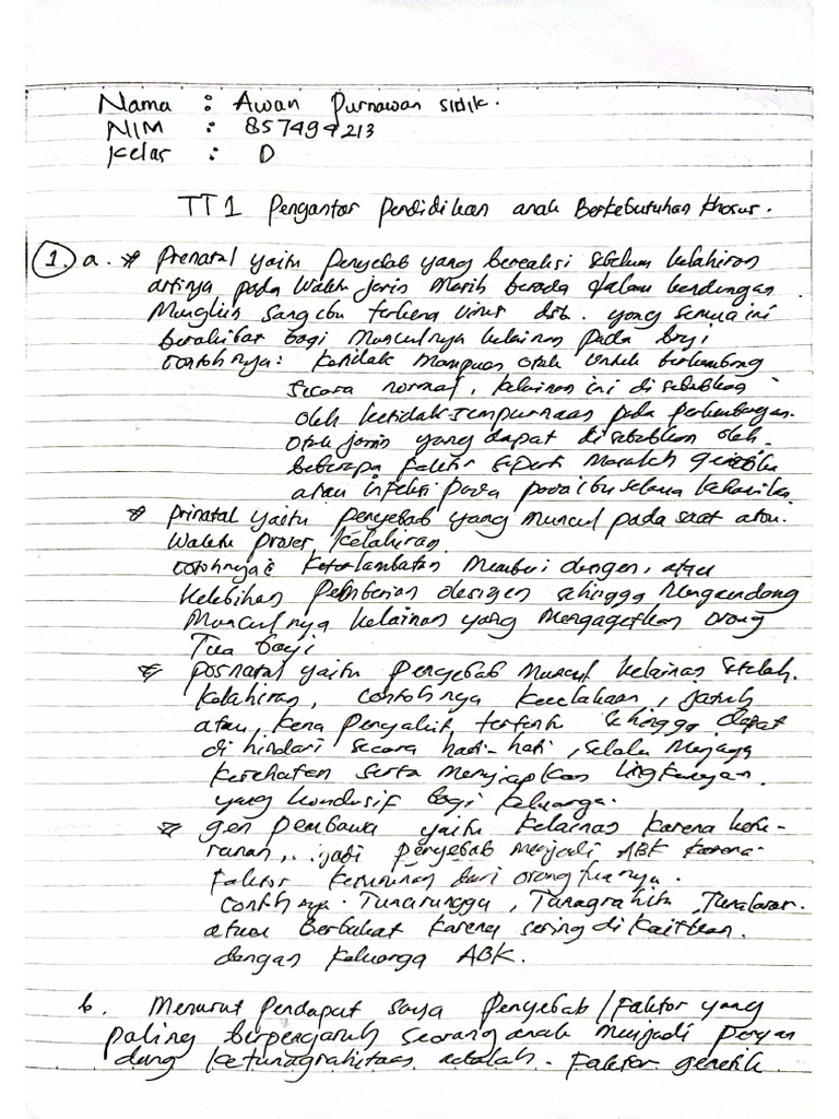 TT1 Pengantar Pendidikan Abk | PDF