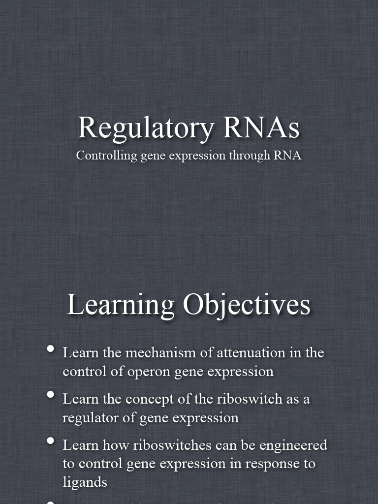 Lecture 15 Regulatory RNAs | PDF | Rna | Operon