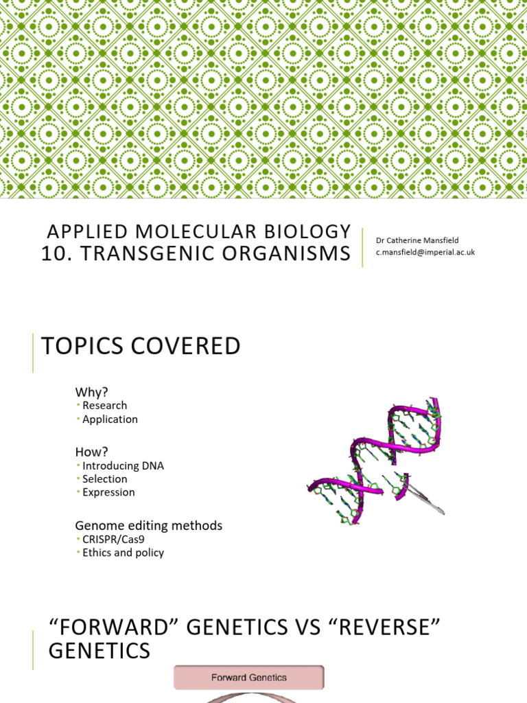 Lecture10. Transgenic Organisms - 23 - BB | PDF