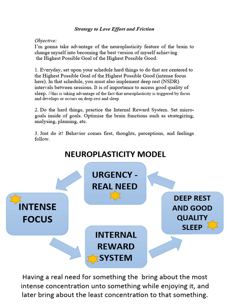 Strategy To Love Effort and Friction | PDF