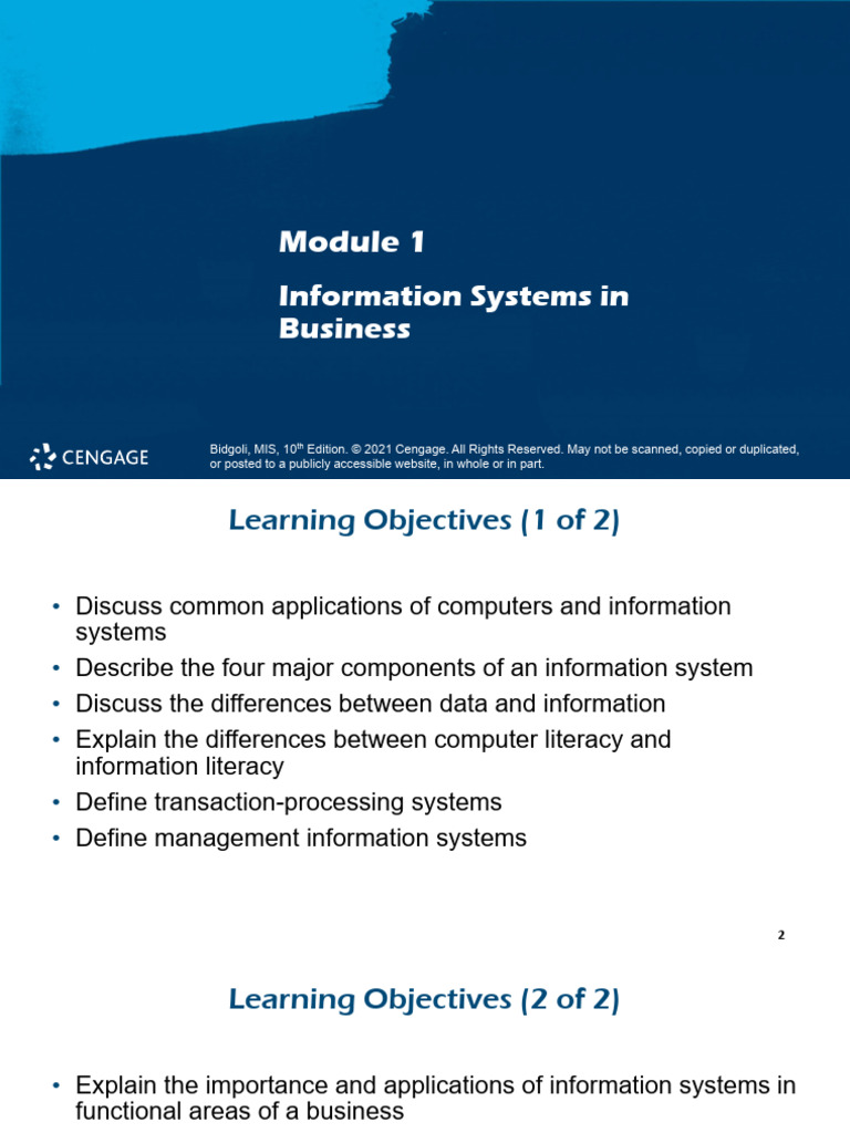Information Systems in Business Overview | PDF