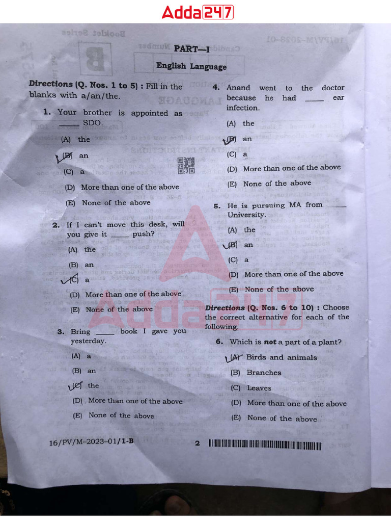 Bihar Teacher Language Question Paper Set B Shift 1 | PDF