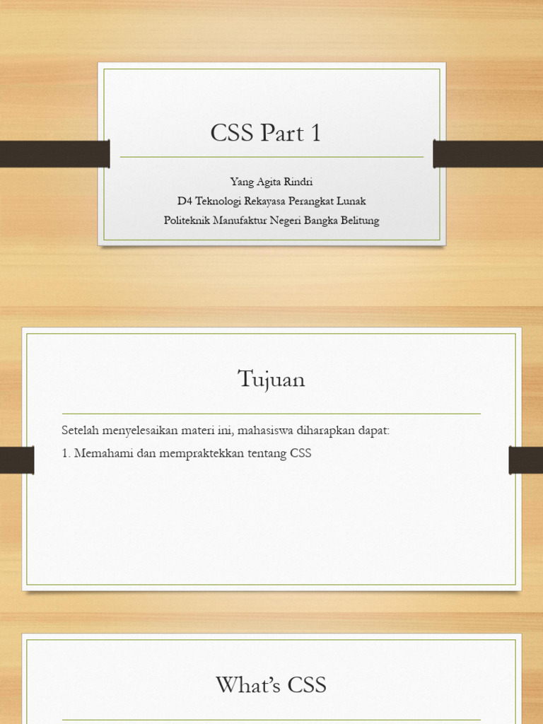 Minggu 6 CSS | PDF