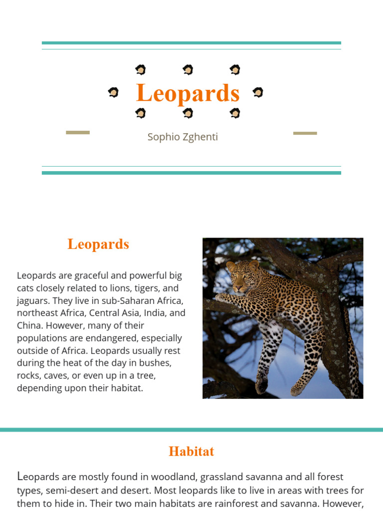 Leopards | PDF