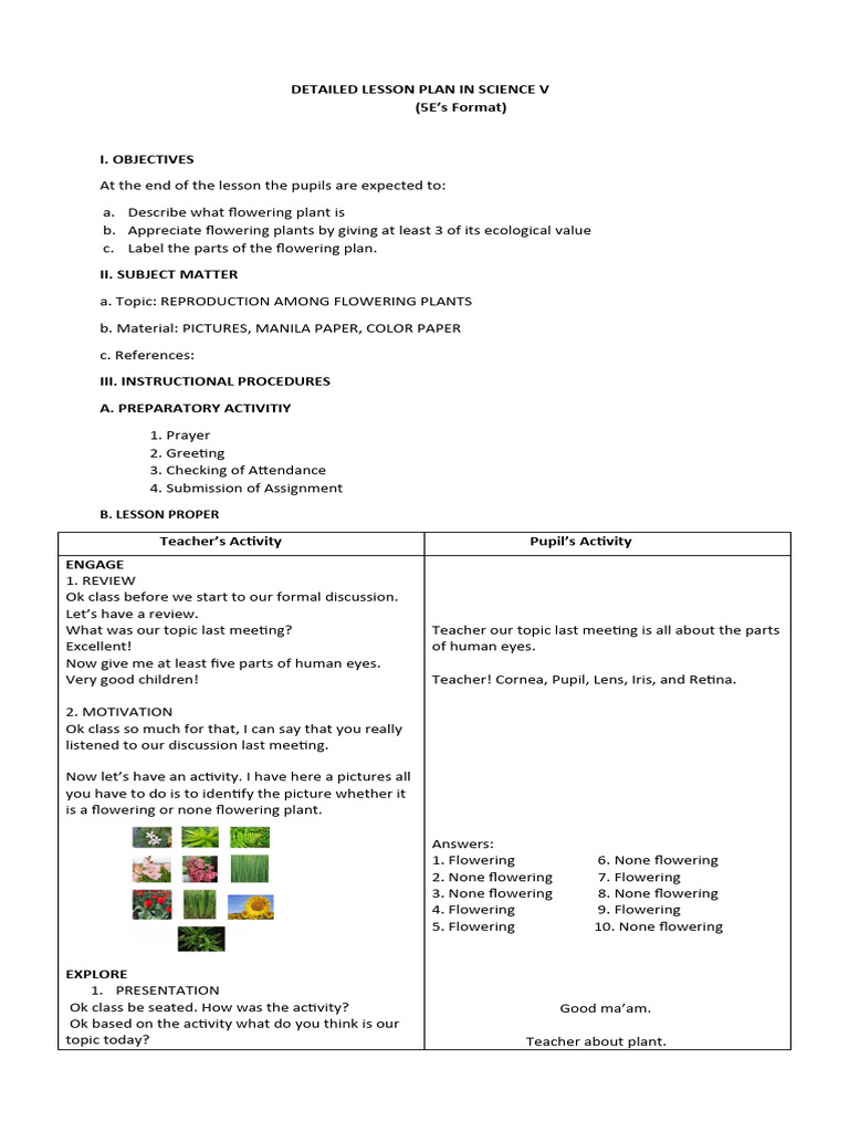 5e's LESSON PLAN FINAL | PDF | Language Arts & Discipline | Science ...