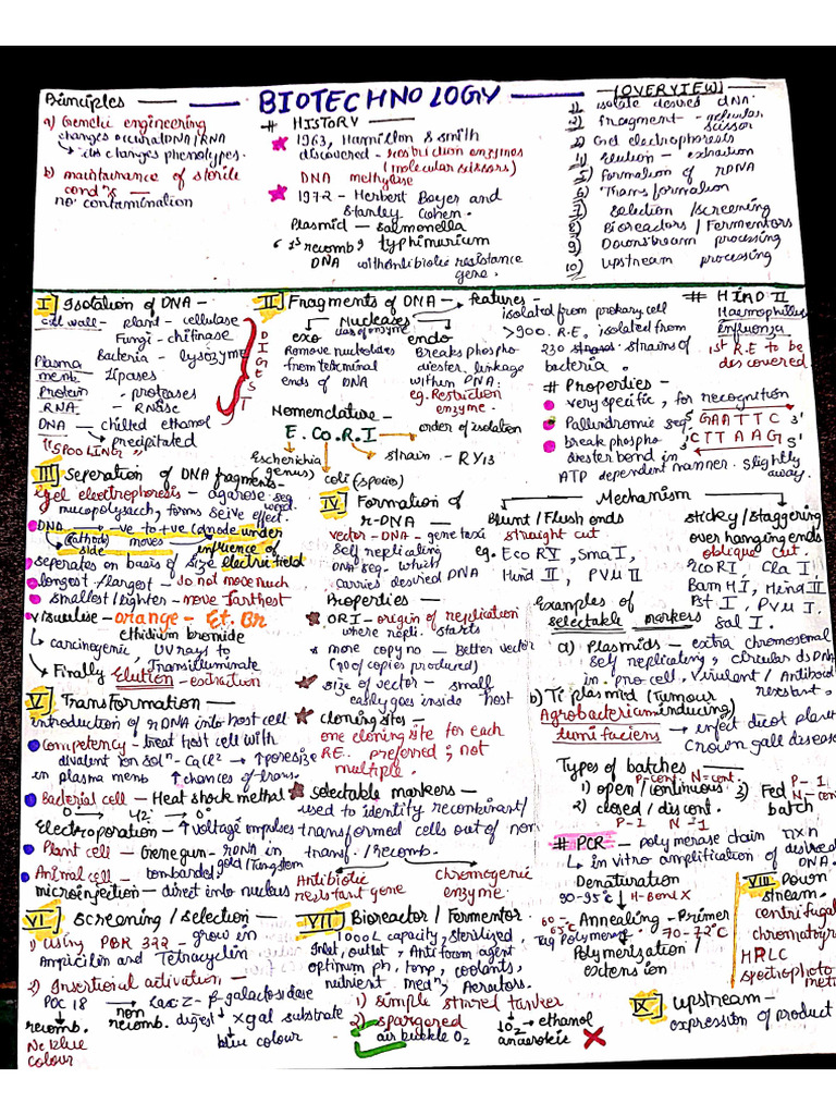 ONE PAGE NOTES - Biotechnology Unit Class 12 Handwritten Notes | PDF