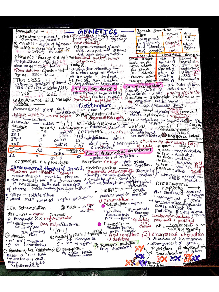 One Page Notes - Genetics Principles of Inheritance and Variations | PDF