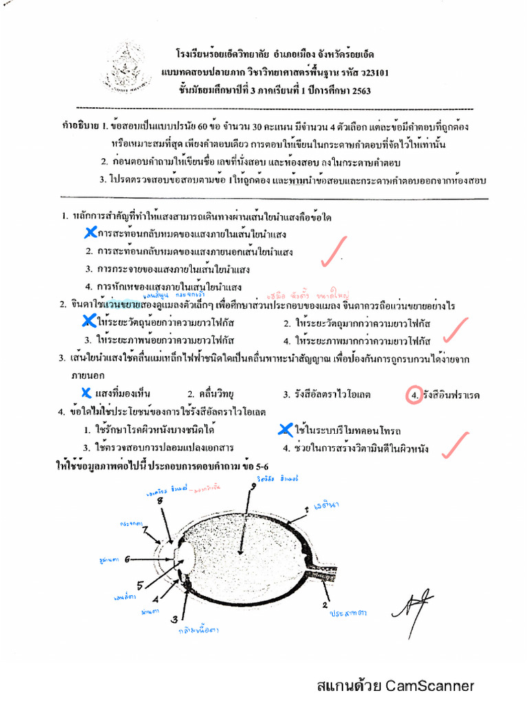 เฉลยปลายภาค 1 - 2563 ม.3 | PDF