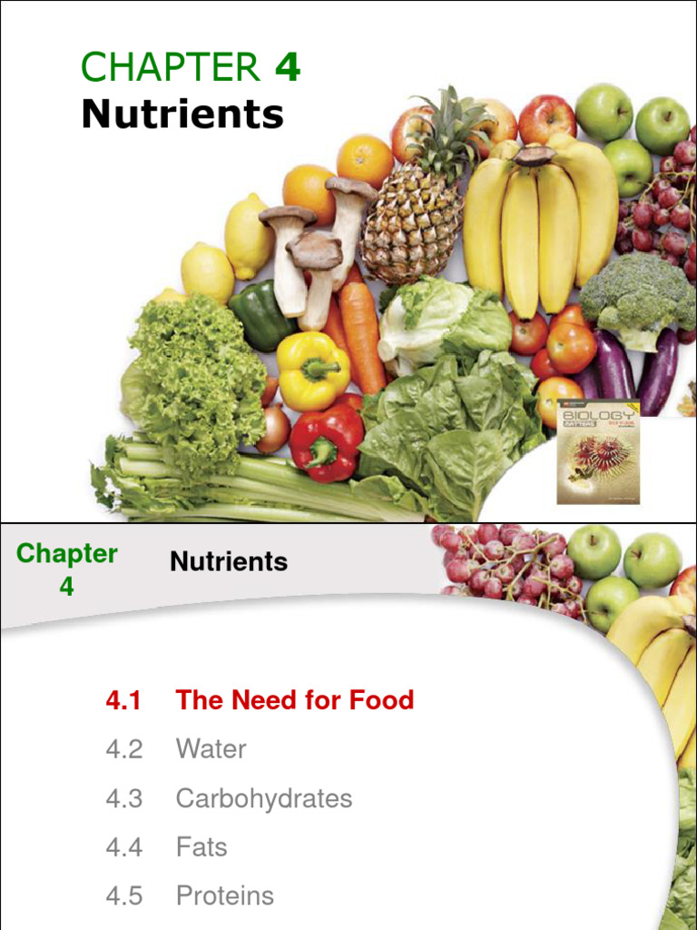 Ch4. Slides - Nutrients | PDF
