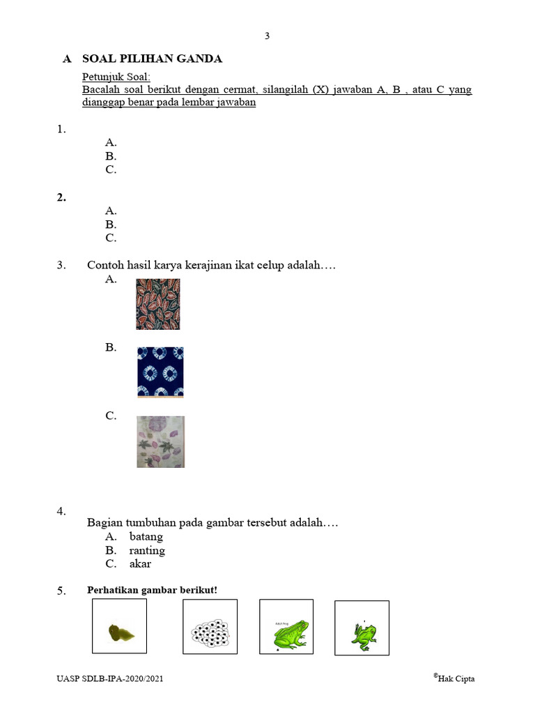 Soal Uas SDLB SBDP | PDF