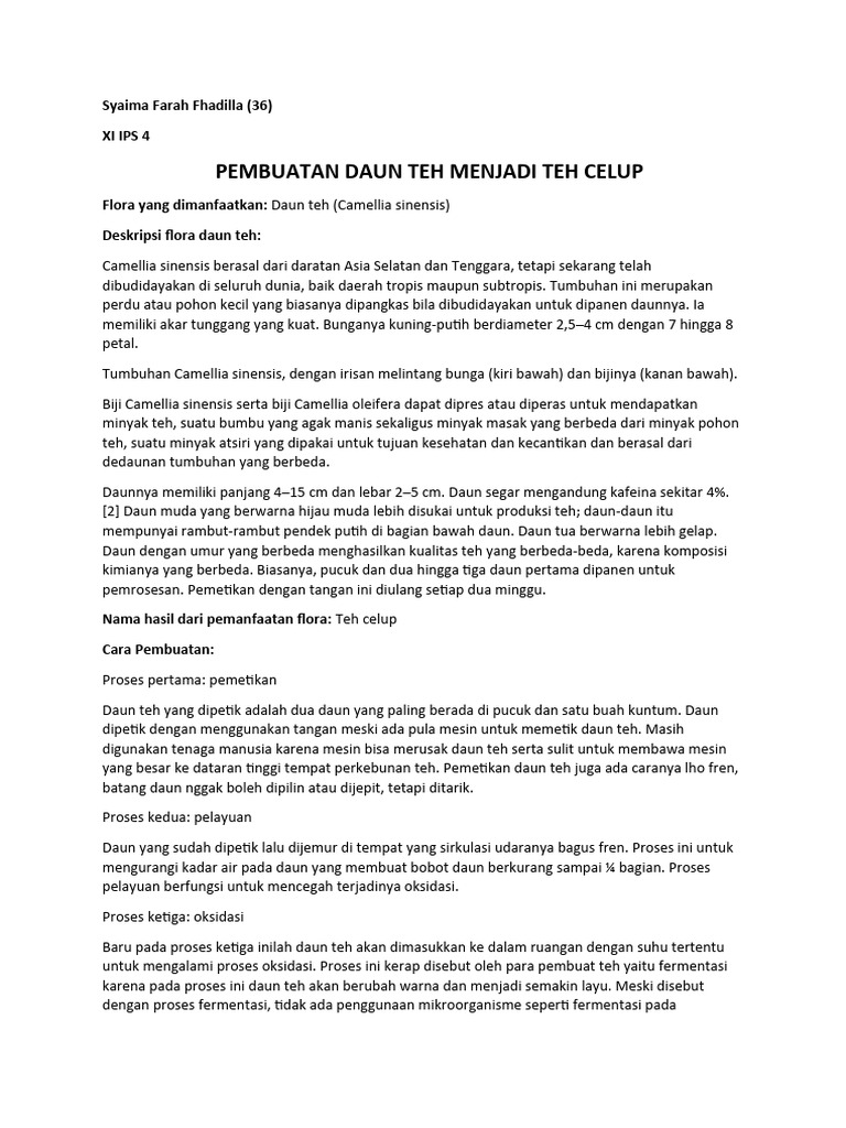 Proses Pembuatan Teh Celup dari Daun Teh | PDF