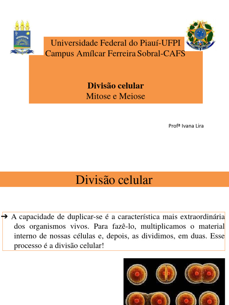 Aula 3 Divisão Celular | PDF