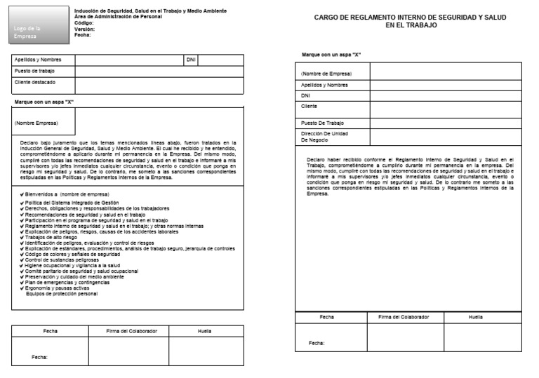 Inducciòn de SST , MA y cargo de entrega de RISST | PDF | Valores | Business