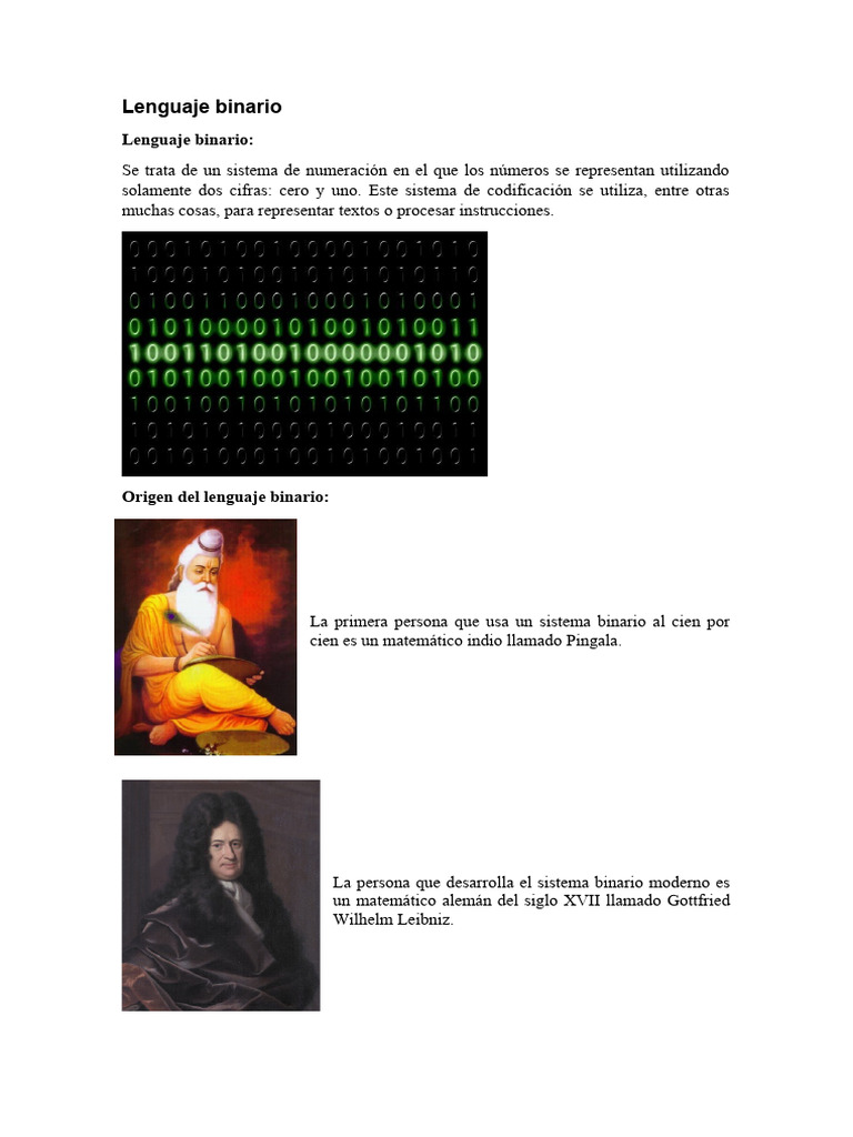 Lenguaje Binario | PDF