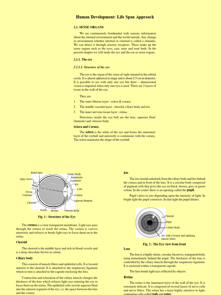 Ch.2 Human Development | PDF | Science & Mathematics
