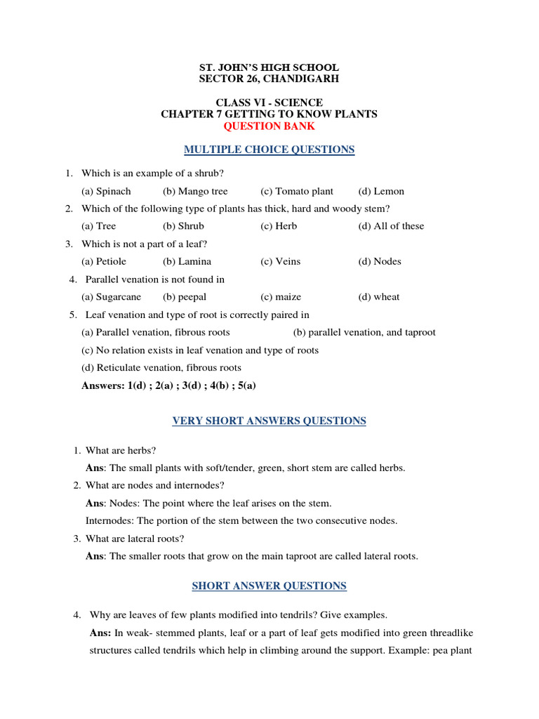 Class 6 Science: Getting to Know Plants | PDF | Leaf | Petal