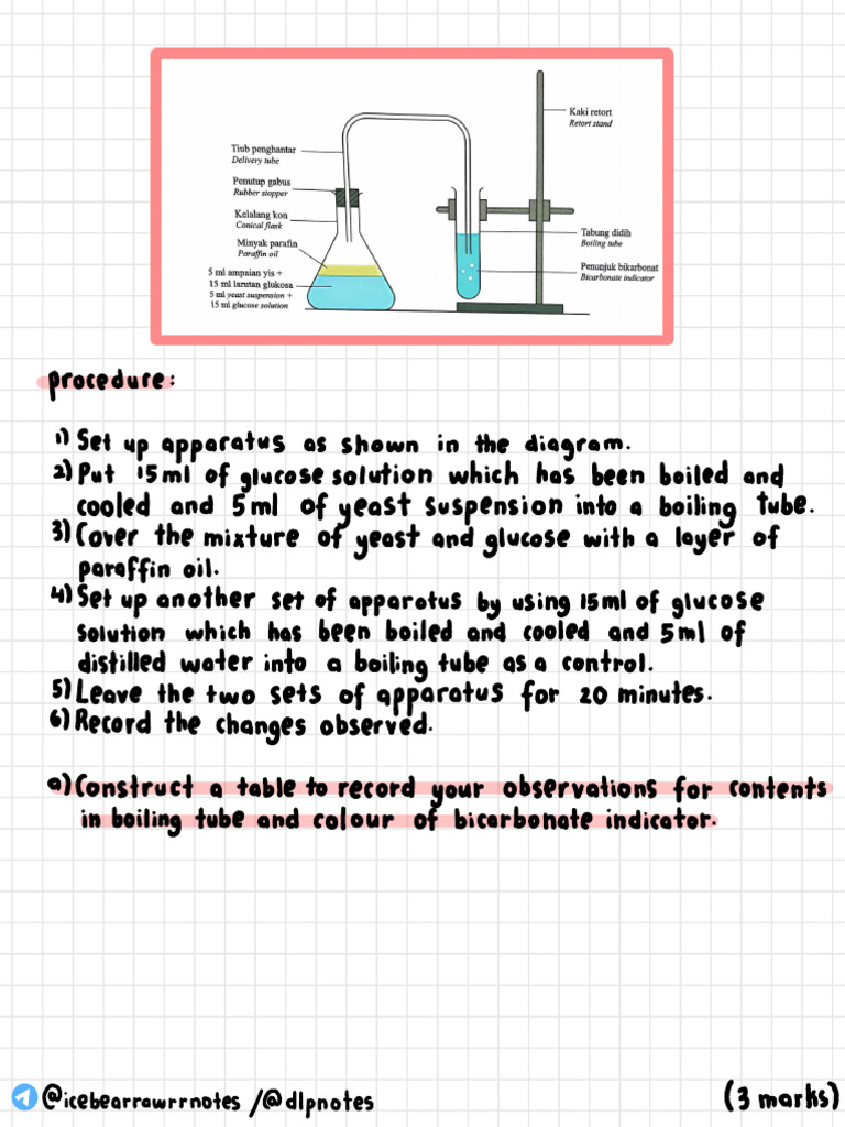 CTH Amali Bio DLP | PDF | Chemical Substances | Chemistry