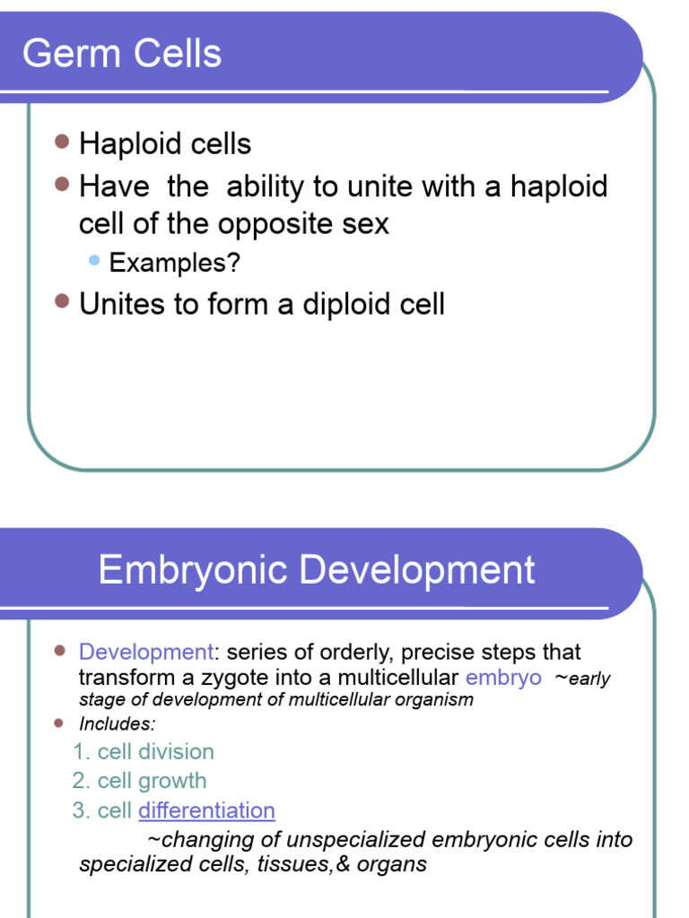 Embryonic and Fetal Development2 | PDF