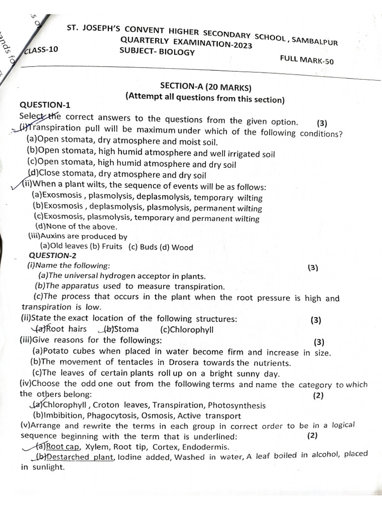 Quarterly Examination | PDF