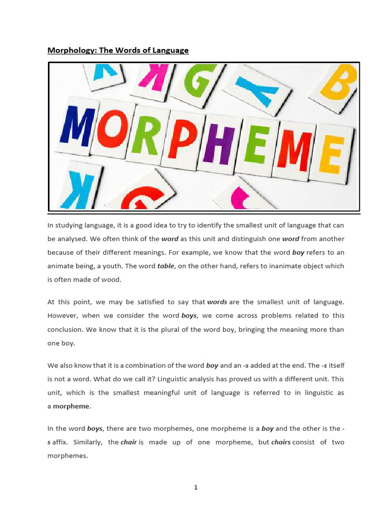 Morphology The Words of Language | PDF